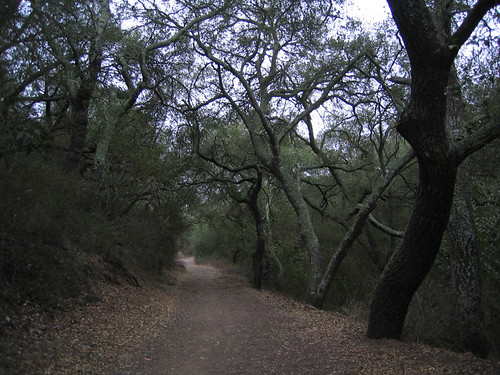 Hike: Nicholas Flat | The GeekHiker