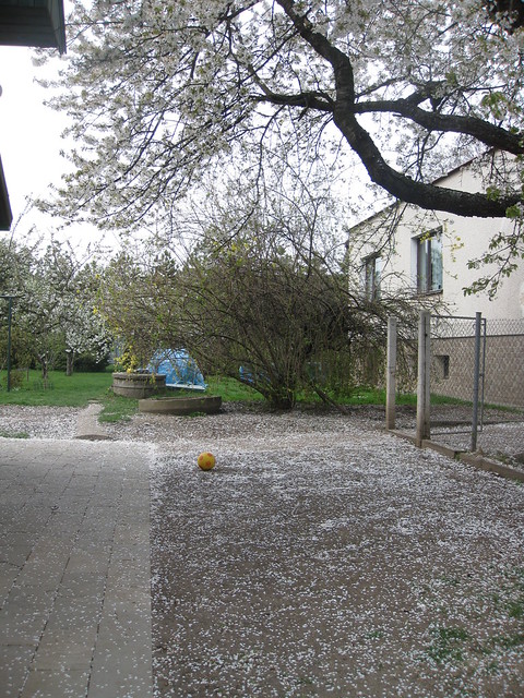 It’s snowing in May! / Il neige en mai! – elPadawan ~ out and about
