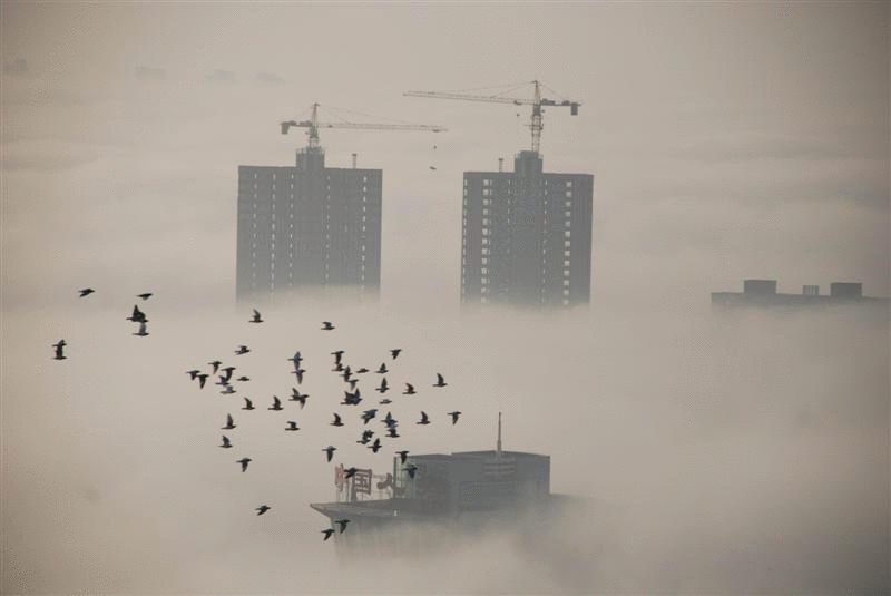 Just for Fun No C&C will be given: - Wuhan scenic photos | Open ...