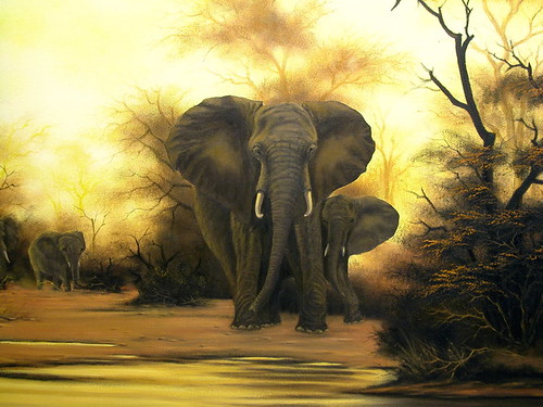 Paintings - Sundowners by Dane Willers. Oil on Canvas, Framed was sold ...